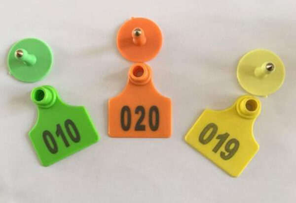 Laser Marking Machine for Ear Tags - BOGONG LASER®